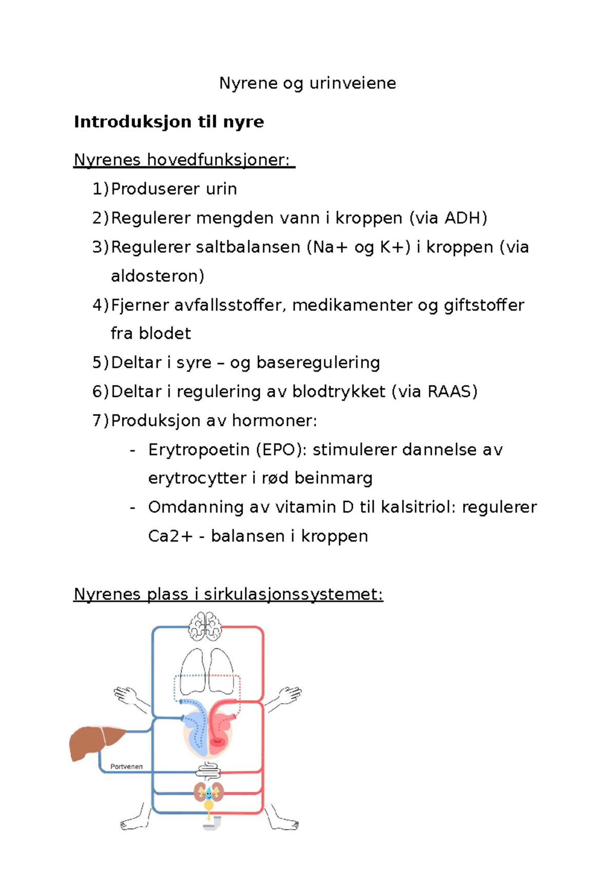Nyrene og urinveiene: Introduksjon til nyrefunksjoner og syre ...