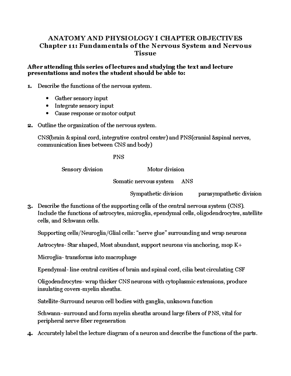 CH 11 Objectives - Fundamentals OF THE Nervous System AND Nervous ...