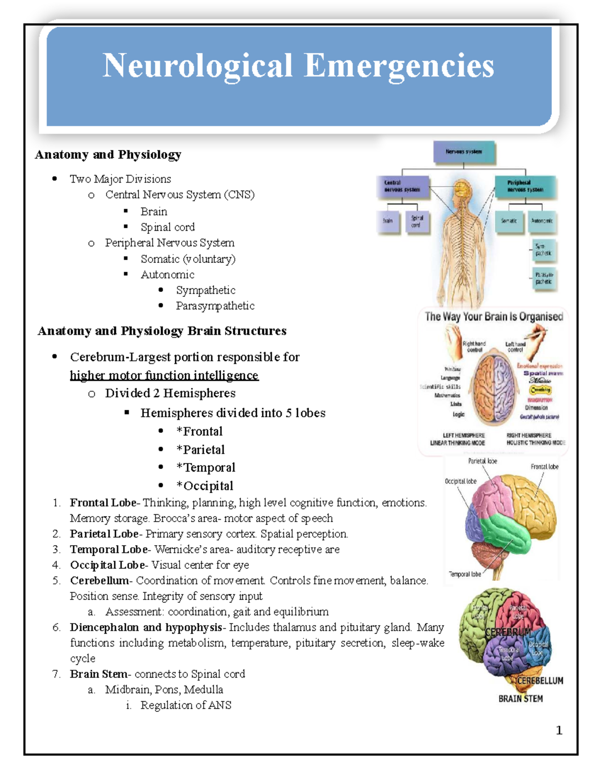 Neurological Emergencies: Anatomy & Physiology Overview for NUR 240 ...