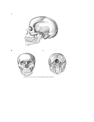 Lecture 5 flashcard examples - Lecture 5 flashcard examples: Axial ...