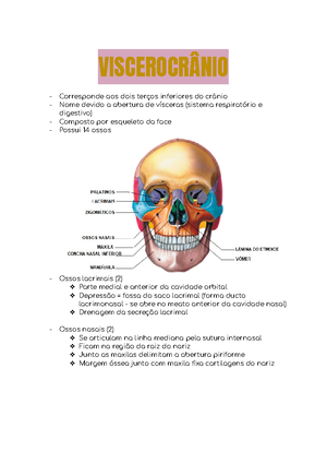 Questoes Anatomia - ATIVIDADE OSTEOLOGIA DO CR¬NIO 1- O crânio constitui o esqueleto da face e ...
