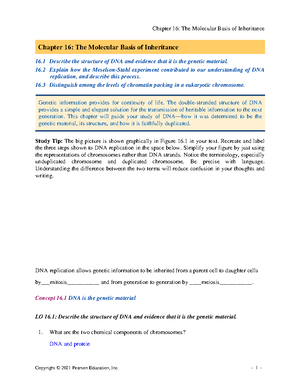 Alternative Splicing Activity: Understanding Gene Structure and Function - Studocu