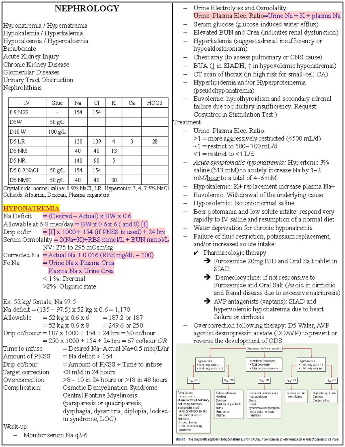 NEPHRO 101: Comprehensive Nephrology Notes on Electrolytes and Kidney ...
