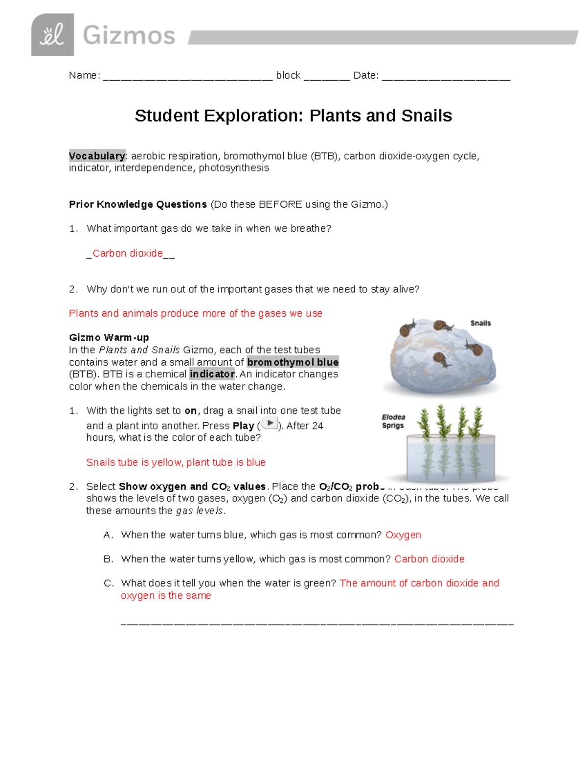 Plants and Snails Gizmo Exploration: Key Concepts & Answers - Studocu