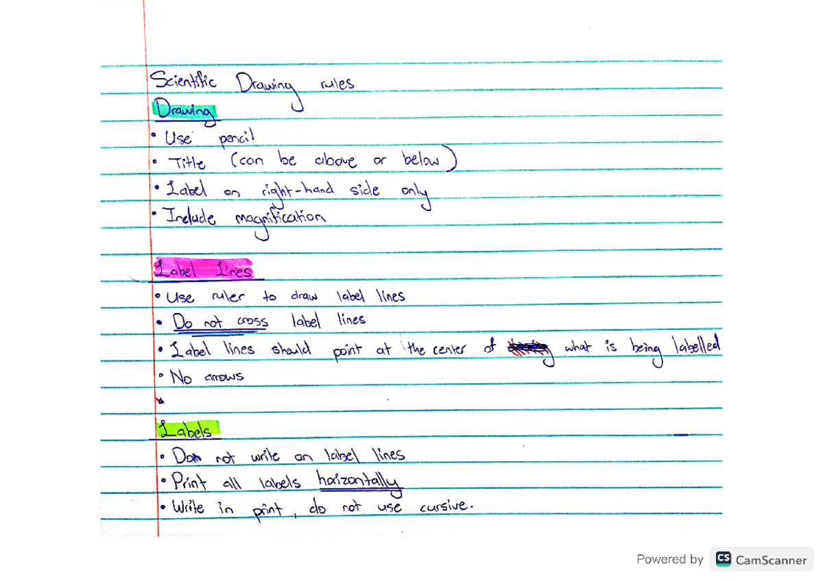Scientific Drawing Rules - bio234 - Powered CS - Studocu