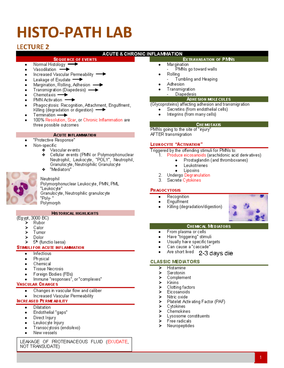 Histopathology LAB 2: Acute & Chronic Inflammation Events - Studocu