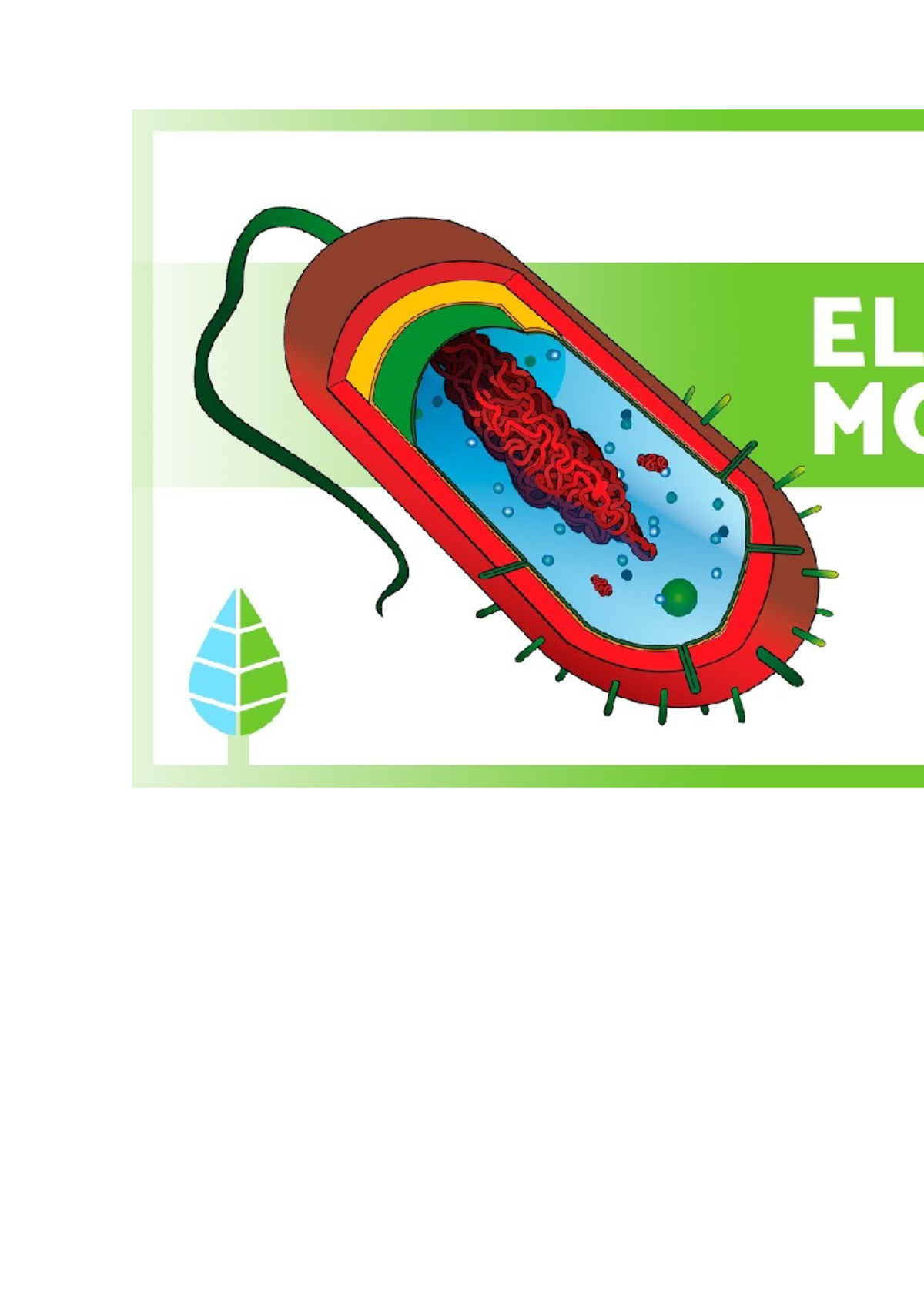 Doc4 - mnnnm - Matematicaii - EM - Studocu