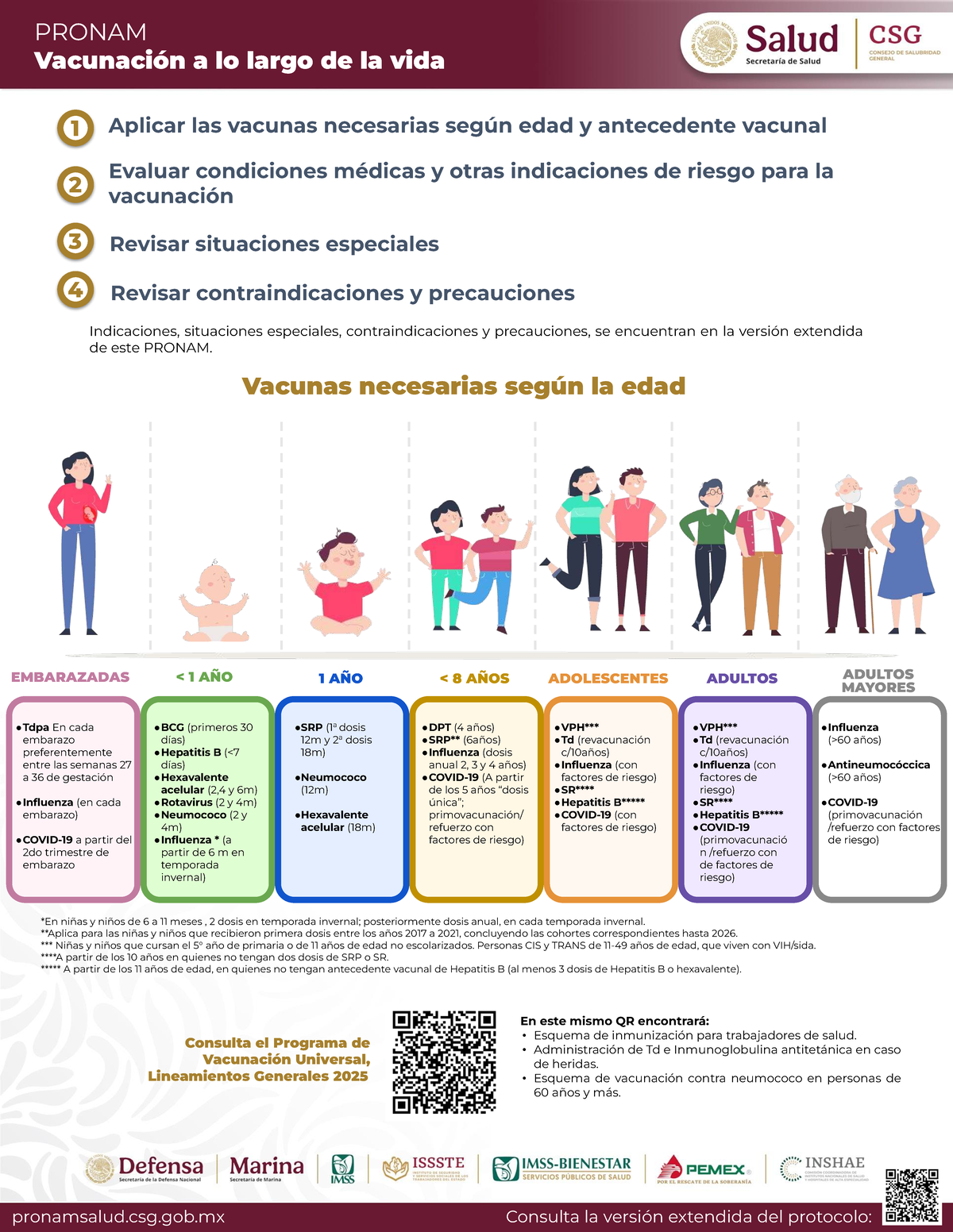 Infografía PRONAM: Vacunación a lo Largo de la Vida y Recomendaciones ...