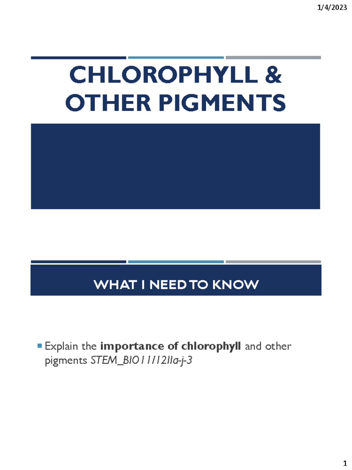 Lesson 5 Chlorophyll and other Pigments - CHLOROPHYLL & OTHER PIGMENTS ...