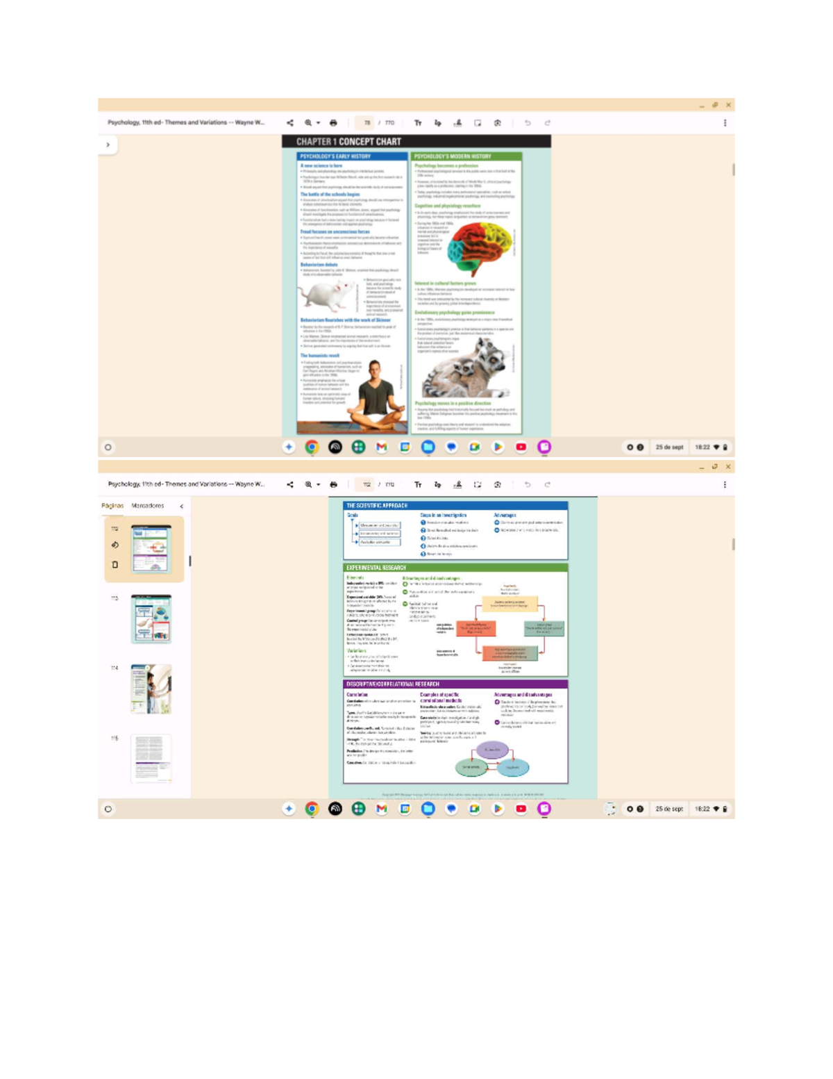 Final Exam Study Guide for ABC123: Key Concepts in Psychology - Studocu