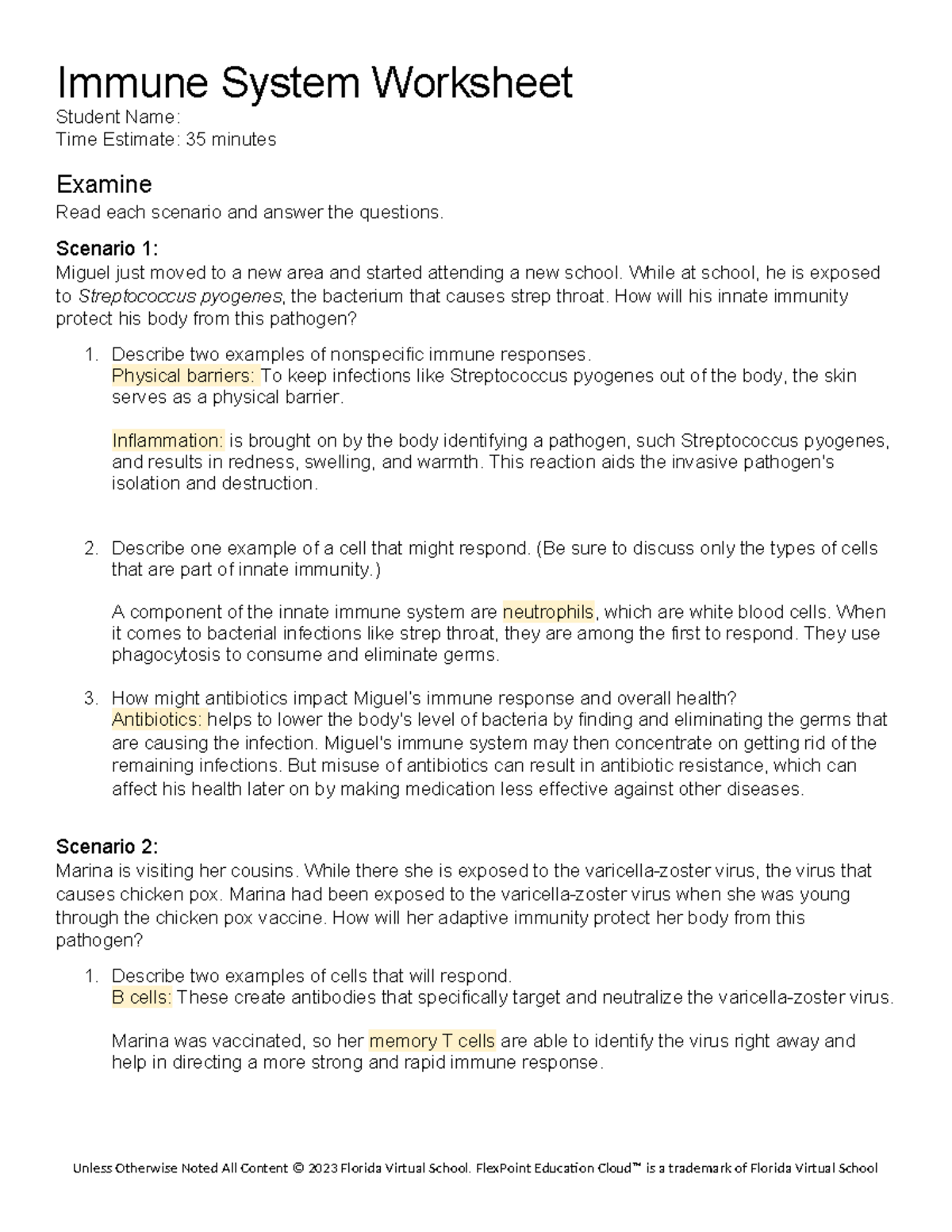 Immune System Worksheet - Innate vs Adaptive Immunity Insights - Studocu