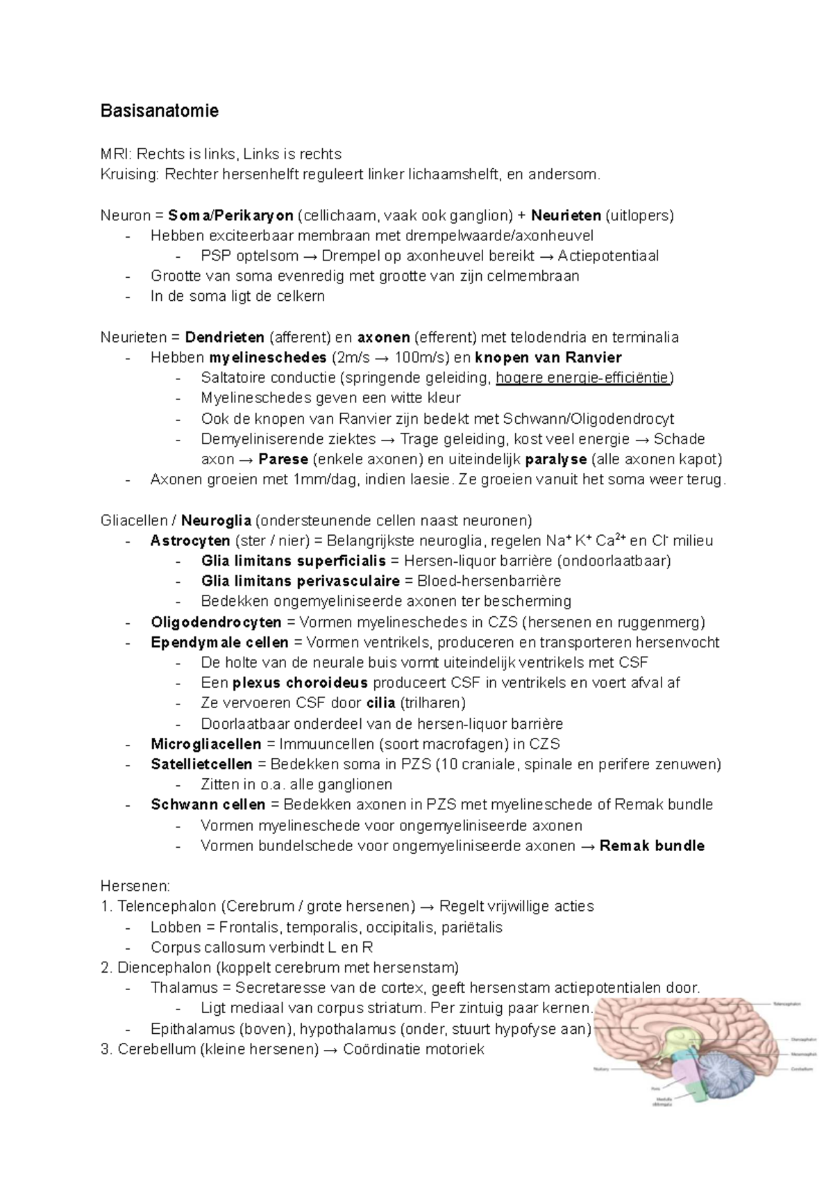 Basisanatomie en Fysiologie van het Zenuwstelsel: H&A Samenvatting ...