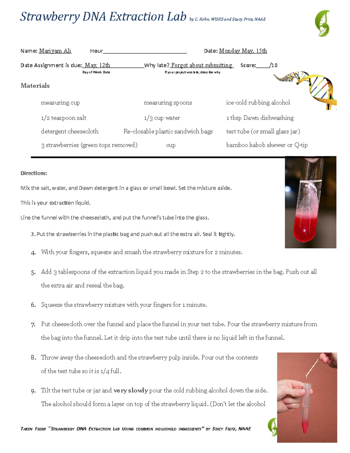 Strawberry DNA Extraction Lab - Directions: Mix the salt, water, and ...