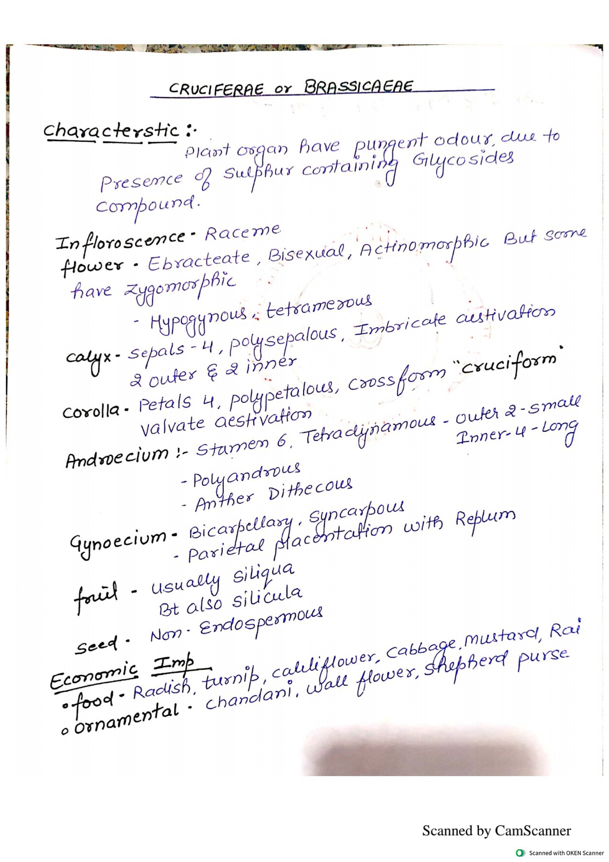 New Families - Morphology of Flowering Plants (CRUCIFERAE & ASTERACEAE ...