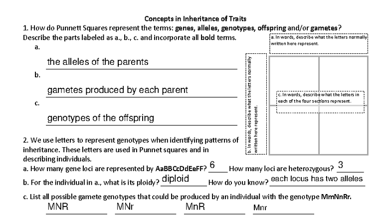 Concepts in Inheritance of Traits: Understanding Gametes and Genotypes ...