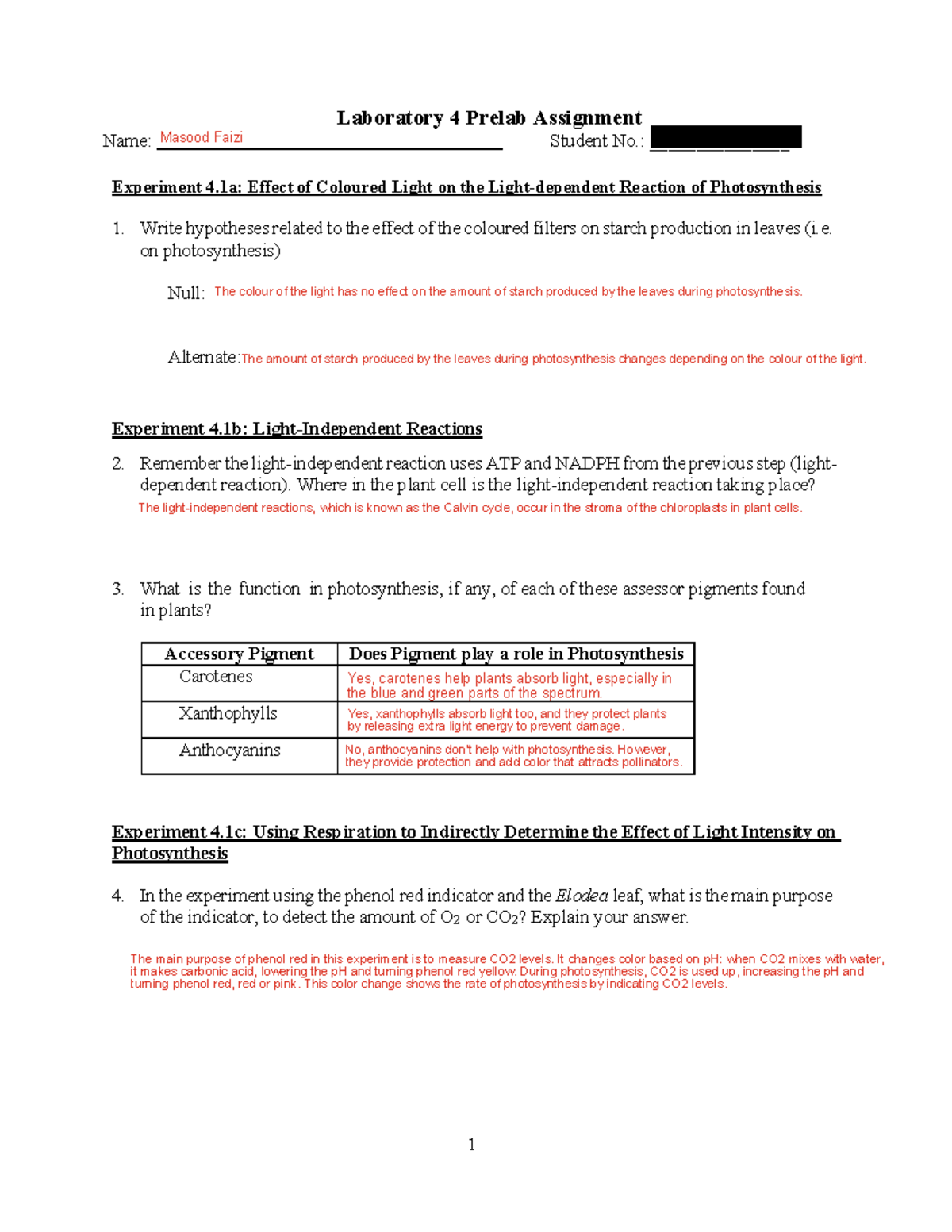Prelab Assignment: Lab 04 - Effect of Light on Photosynthesis - Studocu