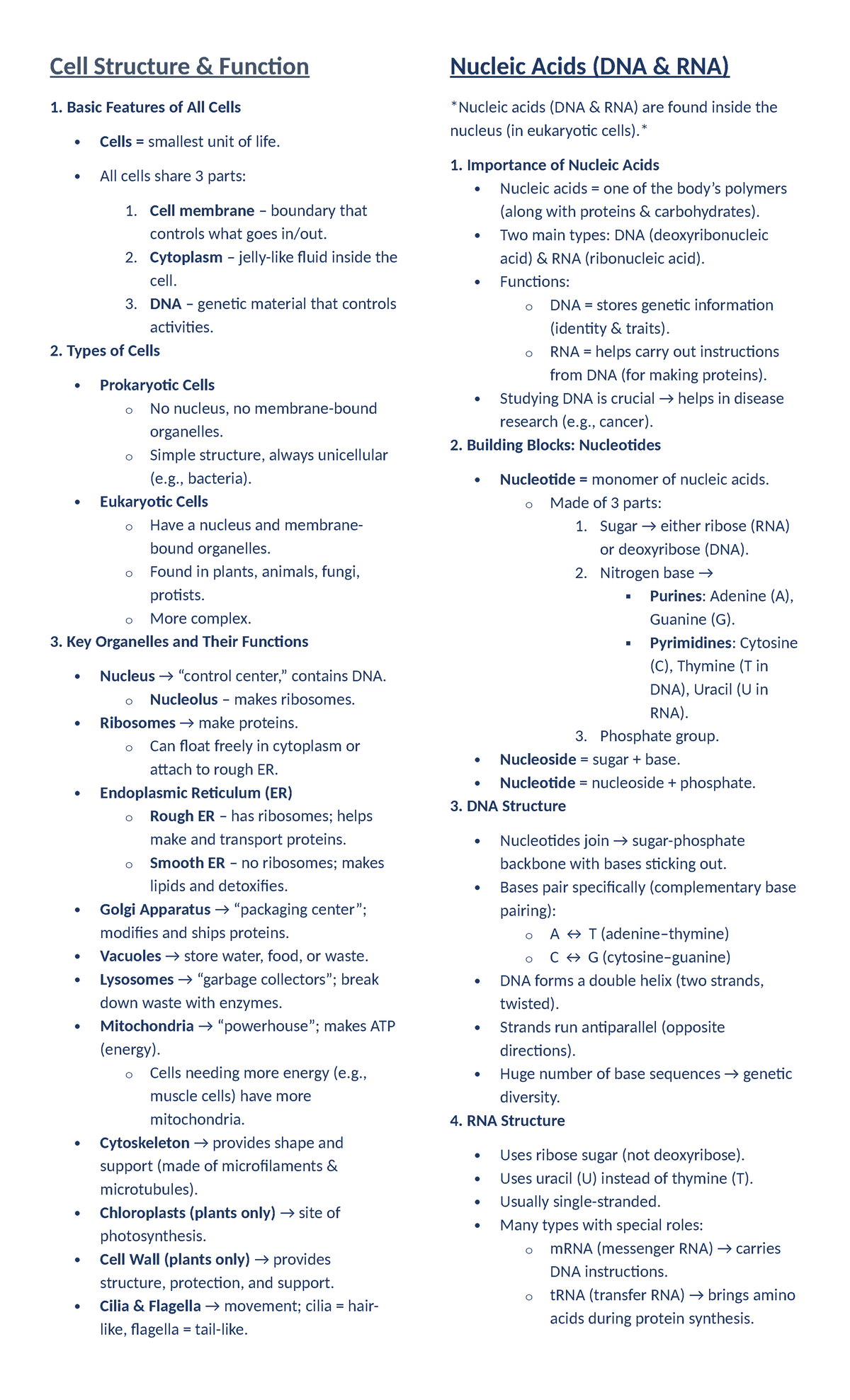 Cell Structure & Function: Nucleic Acids & Proteins Overview (BIO101) - Studocu