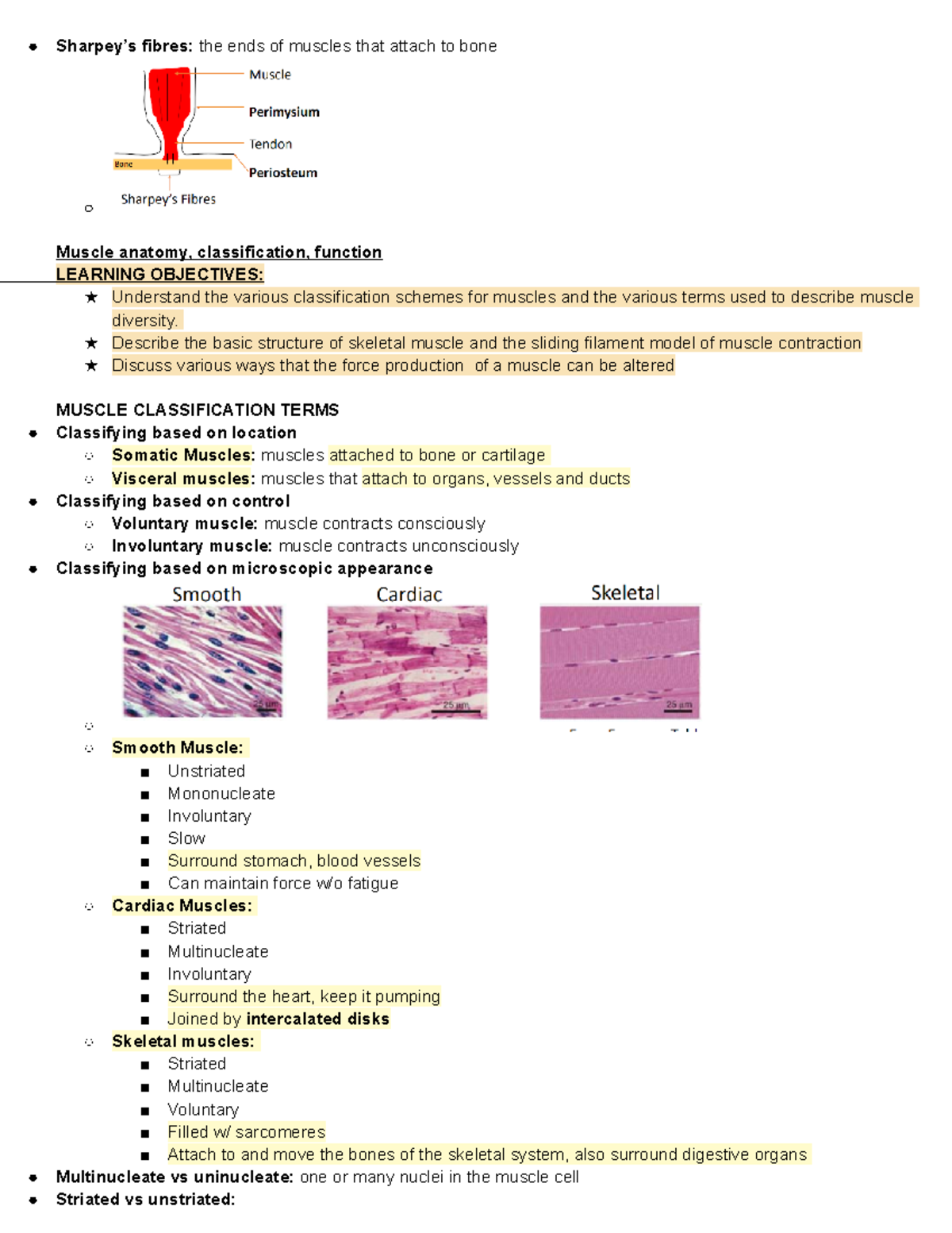Exam 1 Muscular System - Review guide/Lecture notes for exam 1 (part 3 ...