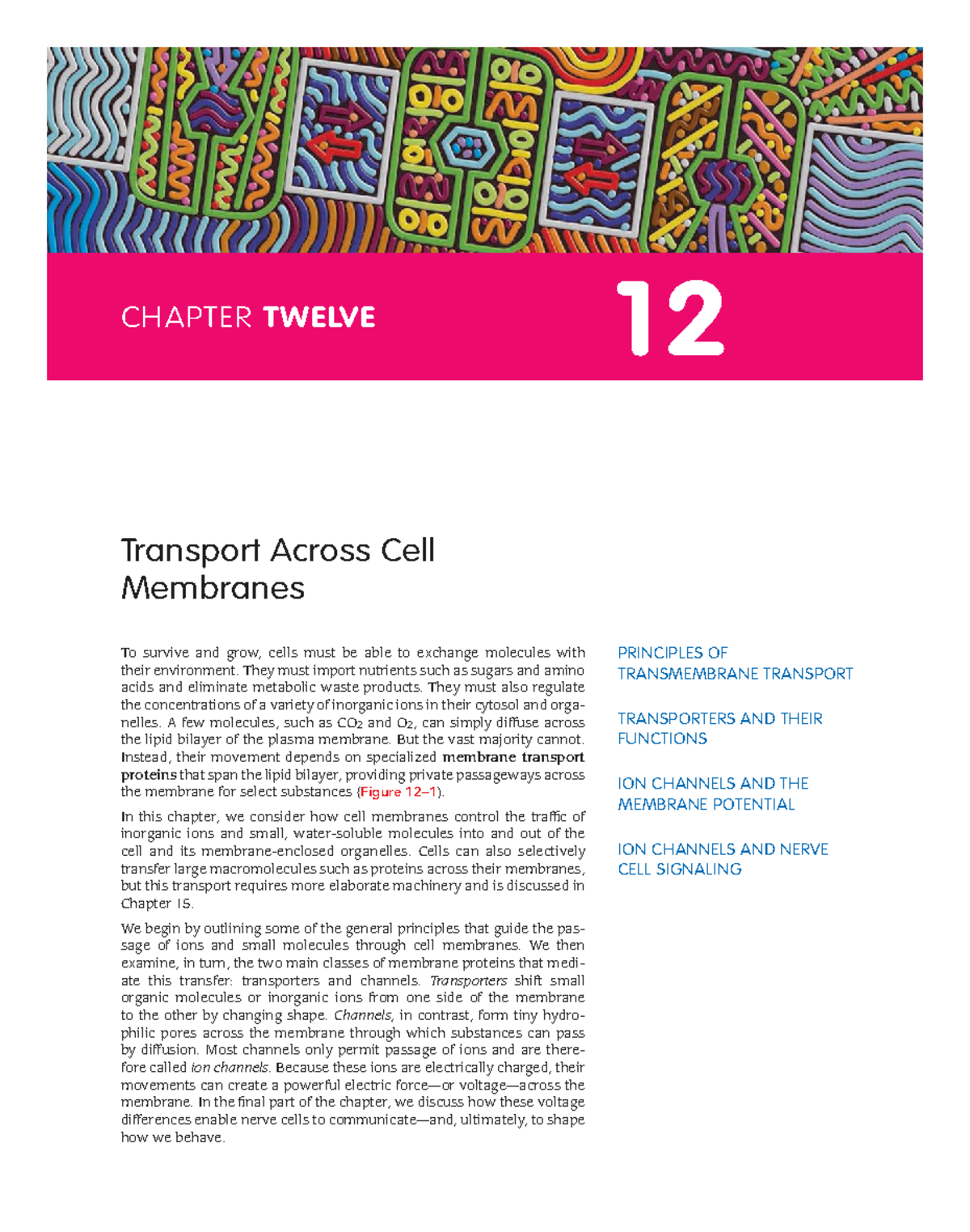 Chapter 12: Transport Across Cell Membranes - Studocu