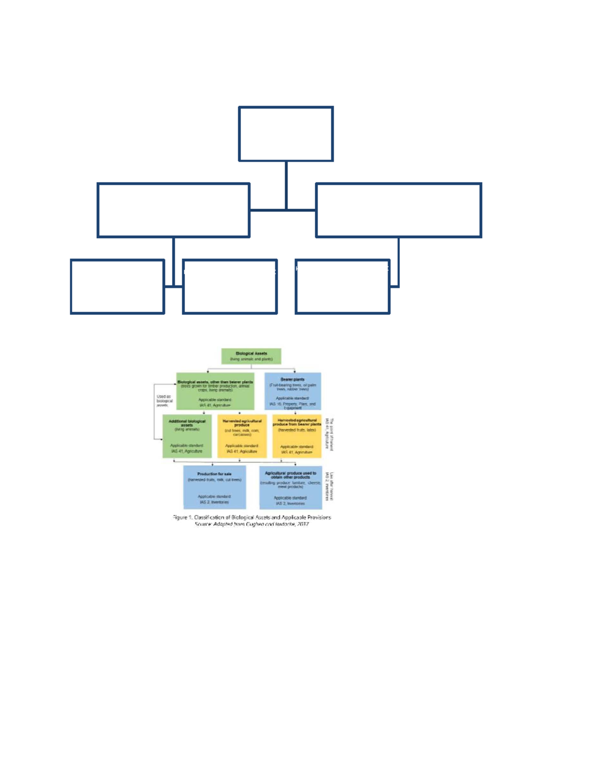 Ias 41 graph - ias 41 agriculture accounting notes - BIOLOGICAL ASSETS ...
