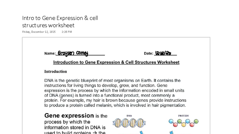 Intro to Gene Expression & cell structures worksheet - Intro to Gene ...