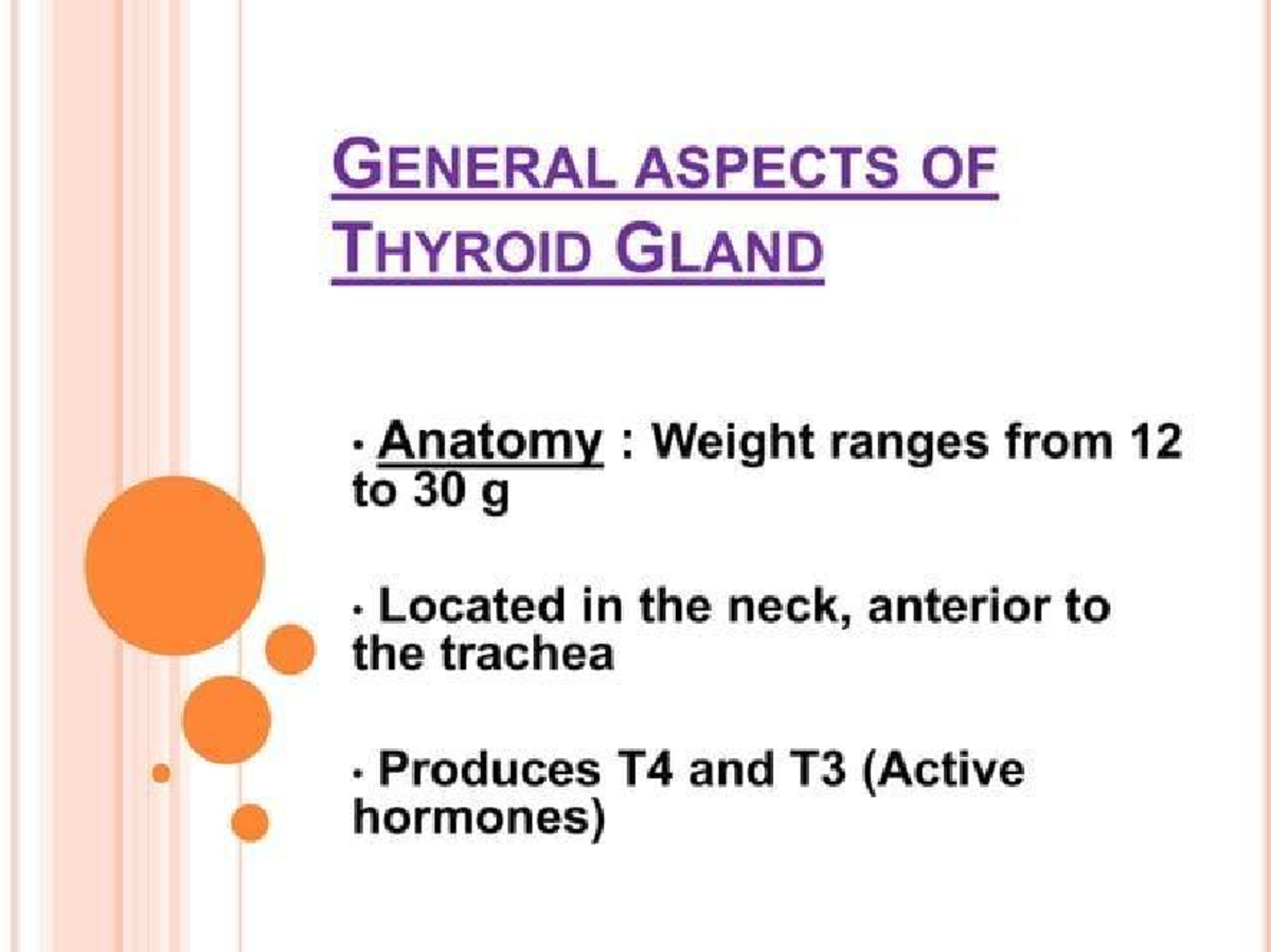 Thyroid Gland Overview: Anatomy, Regulation, and Disorders (MED 101 ...