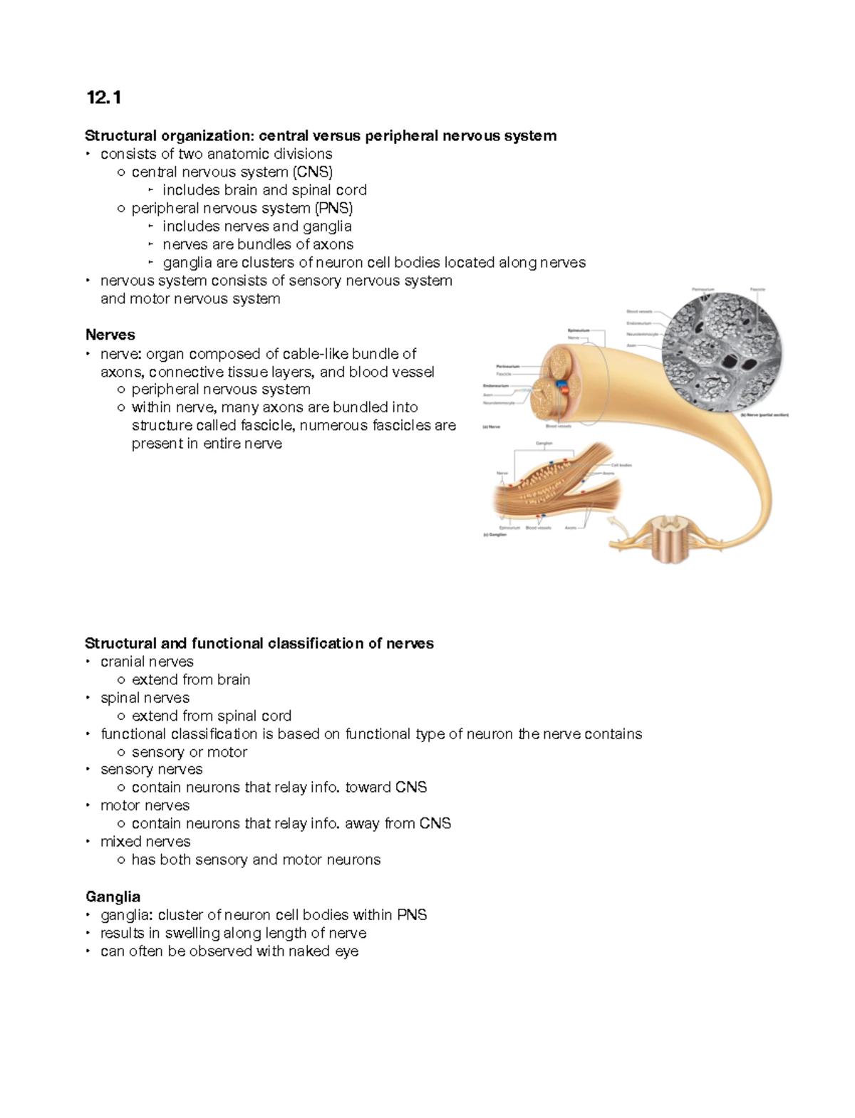 Nervous System Overview: Structure, Function, and Mechanisms (BIO 101 ...