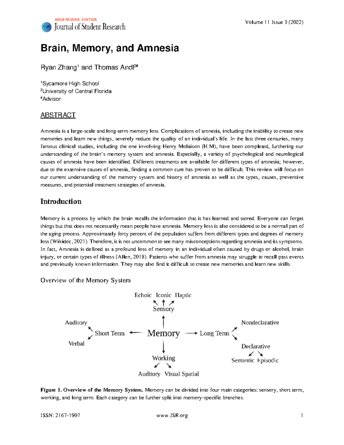 Understanding Brain Memory and Amnesia: Insights and Causes - Studocu