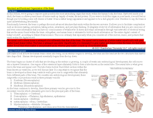 BIOS251 W5 Lab - Week 5 lab worksheet - Week 5 Lab Instructions Integumentary System Activity ...