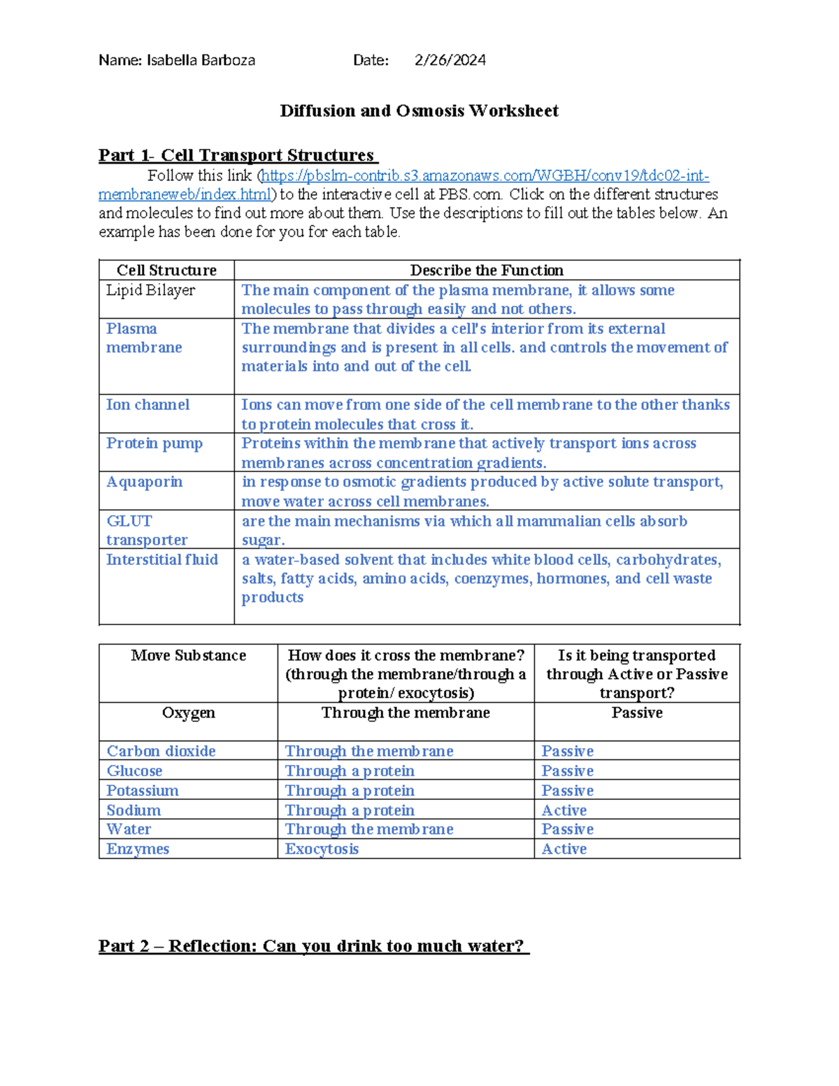 Diffusion and Osmosis Worksheet - Understanding Cell Transport ...