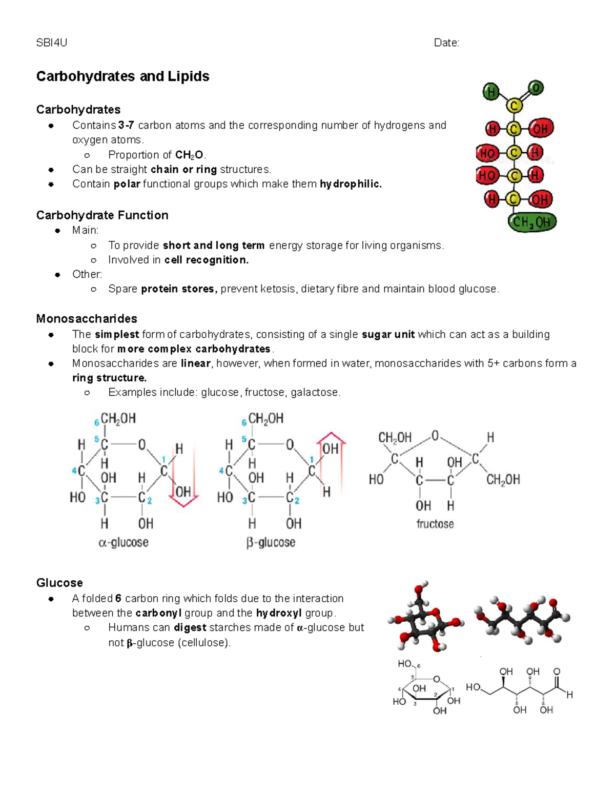 SBI 4U Lecture Notes: Carbohydrates and Lipids Overview - Studocu