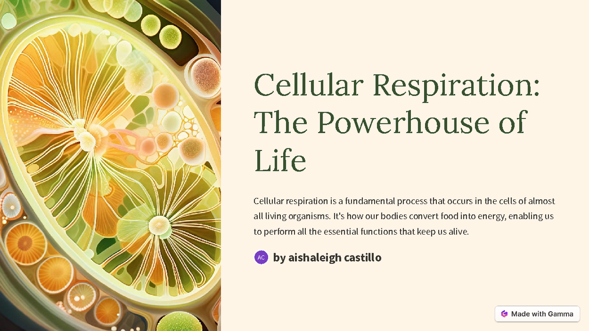 Cellular Respiration The Powerhouse of Life - Cellular Respiration: The ...