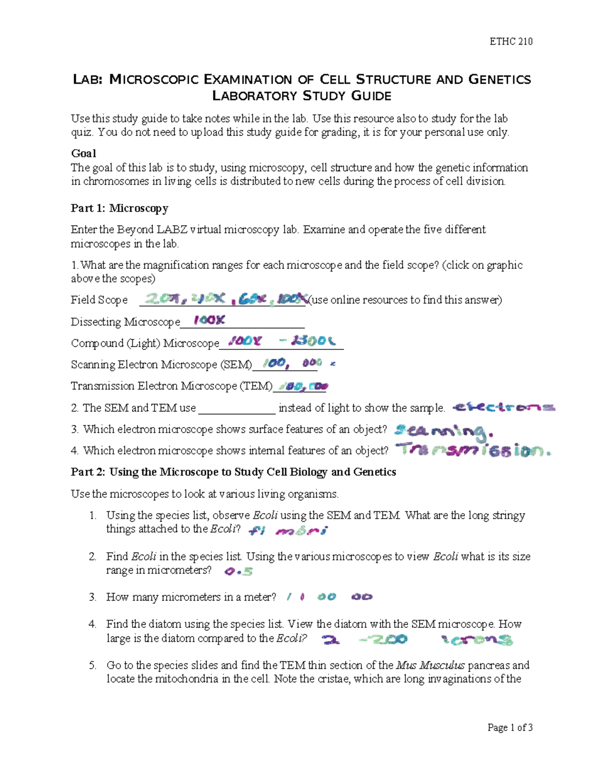 ETHC 210 Lab Study Guide: Microscopic Cell Structure & Genetics Exam Prep - Studocu