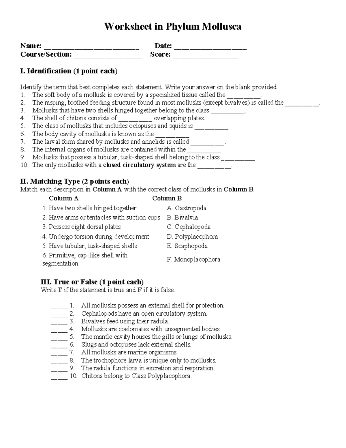 Mollusca Worksheet: Identification, Matching, and True/False Questions ...