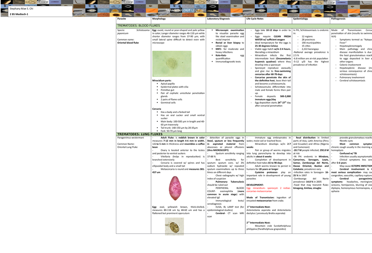 Parasite - Lecture notes 1 - 2 BS Medtech- PARASITOLOGY LECTURE ...