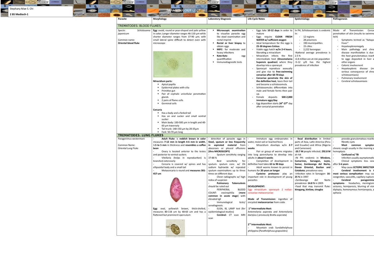 Trematodes - Ovas and Adult worm - (INTESTINAL) Species Egg/Ova Adult ...