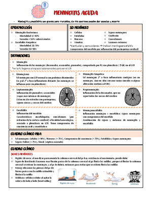 1 - PROTOCOLO RUSH - Ultrasonido rápido en examen de choque Examen RUSH ...