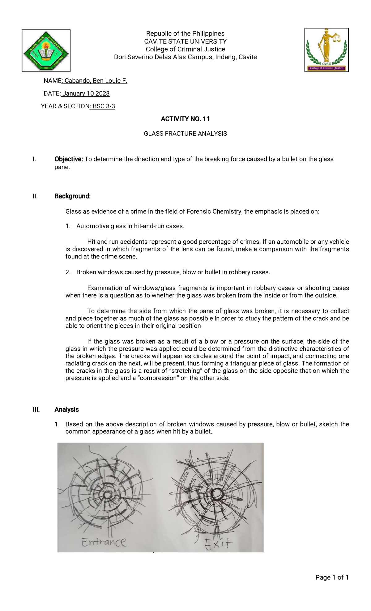 BSC3- Activity 11: Analysis of Glass Fracture from Bullet Impact - Studocu