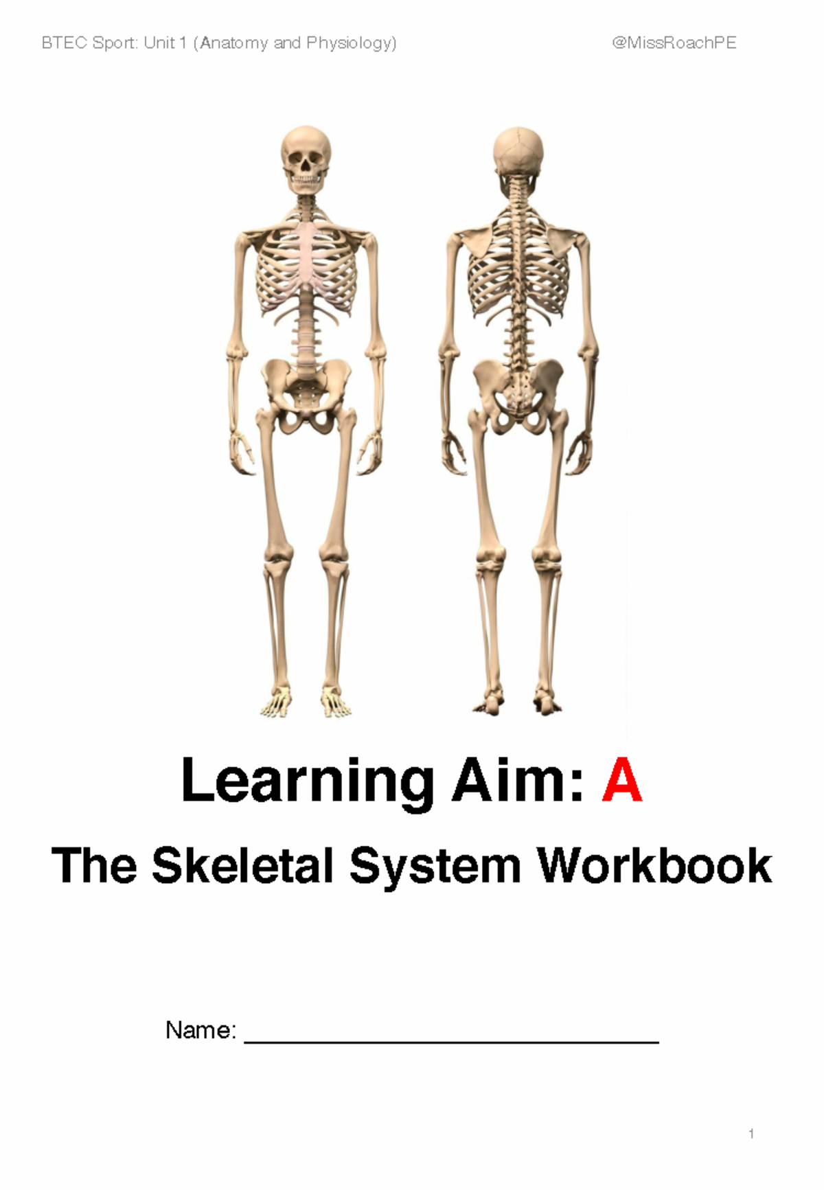 Skeletal System Workbook: Unit 1 Overview and Key Concepts - Studocu