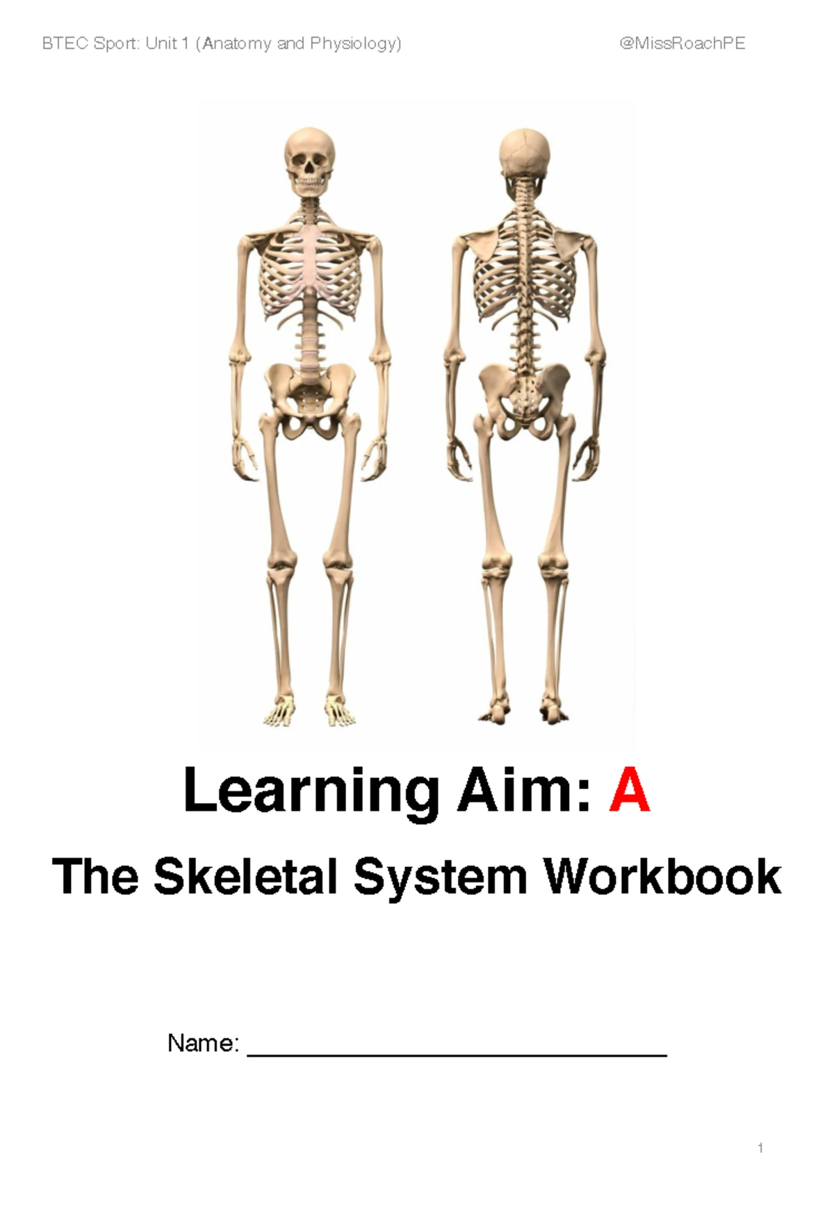 Unit 1 workbook - Learning Aim: A The Skeletal System Workbook Name: A ...
