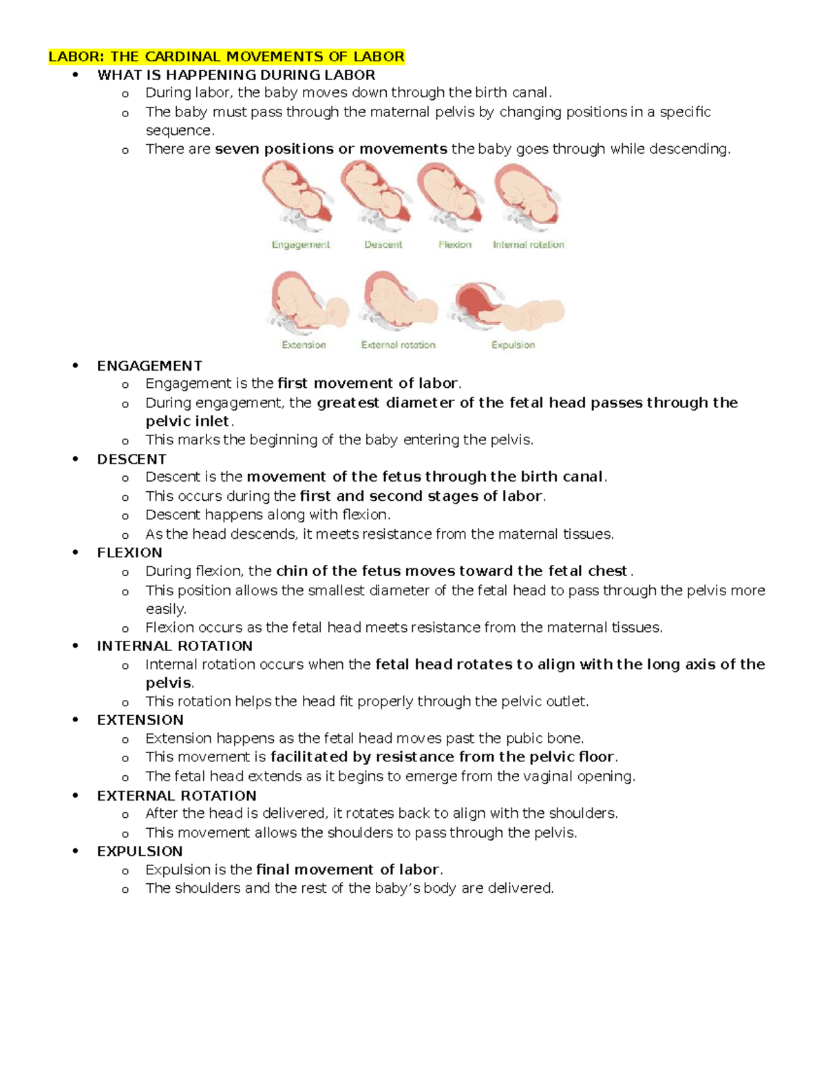 LABOR: CARDINAL MOVEMENTS AND STAGES OF LABOR (Maternity Exam 2) - Studocu