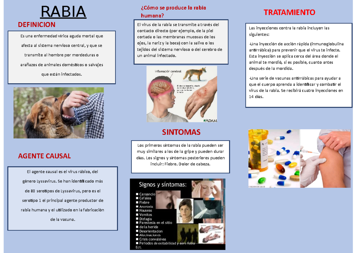 Síntomas De La Rabia