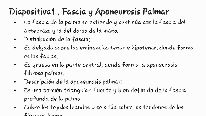 Músculos Tenares y Aponeurosis Palmar: Anatomía y Función - Studocu