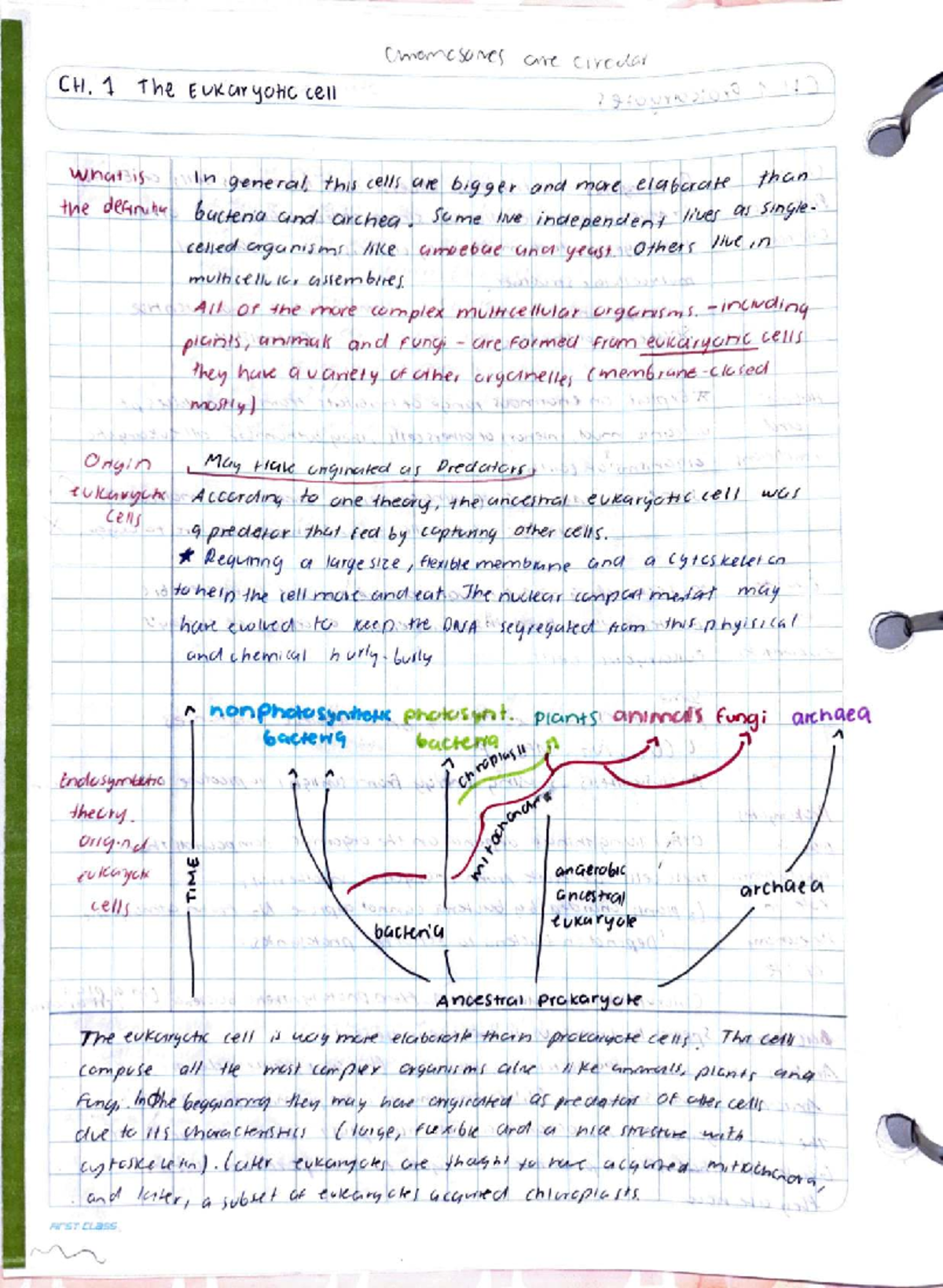 Biology of the Cell: Complete Notes for Chapter 1 (BIO101) - Studocu