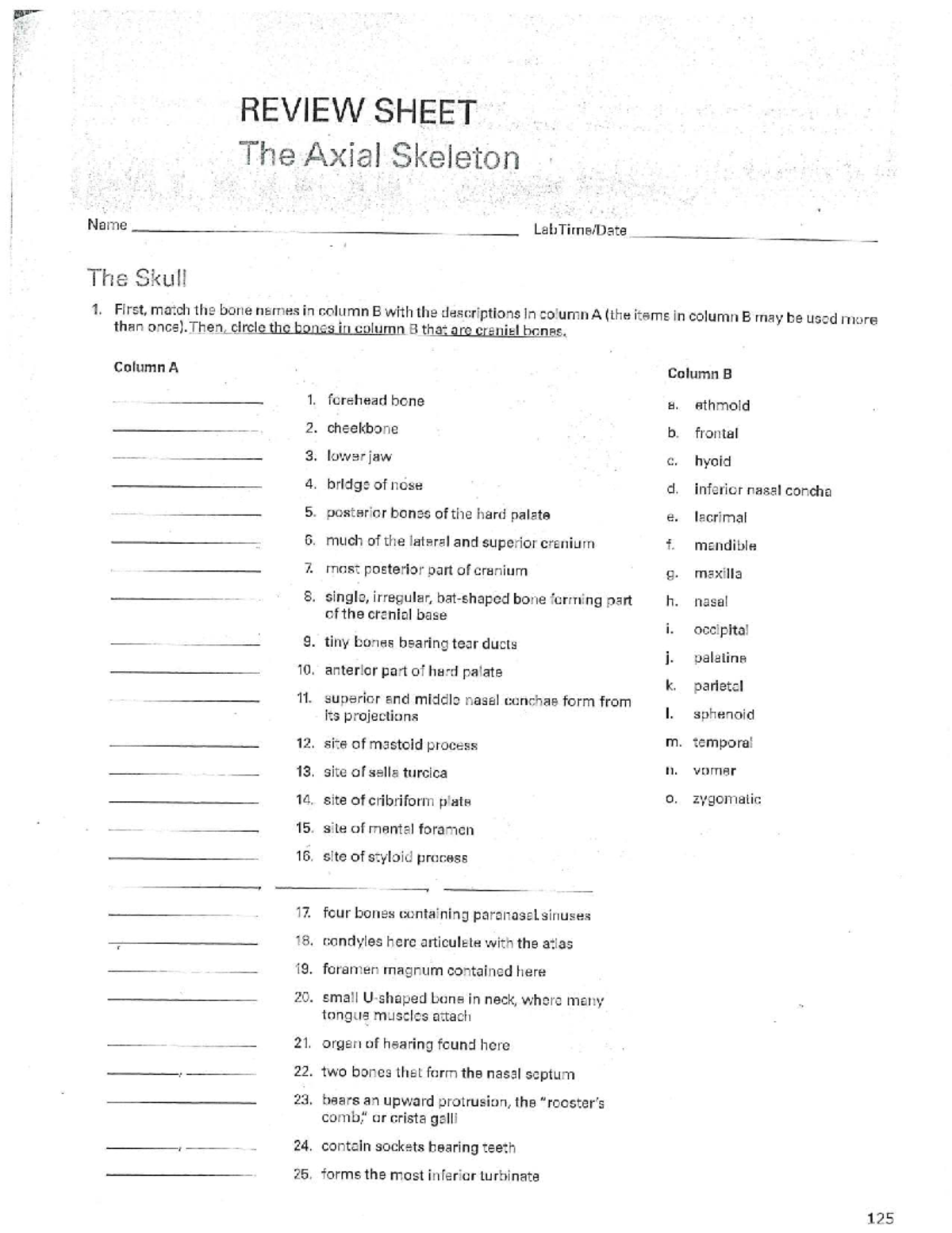 REVIEW SHEET: Axial Skeleton Lab - The Skull and Vertebrae - Studocu