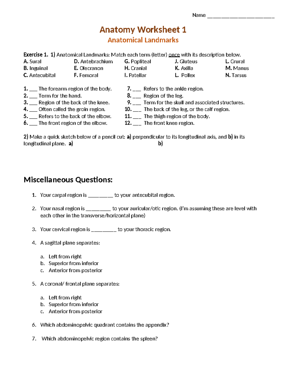 Anatomy Worksheet 1: Anatomical Landmarks & Body Regions Exercise - Studocu