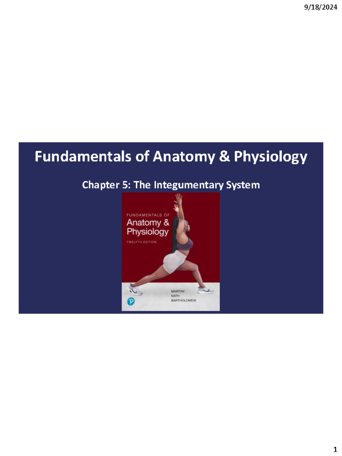 Anatomy & Physiology Notes: Integumentary System (Chapter 5 ...