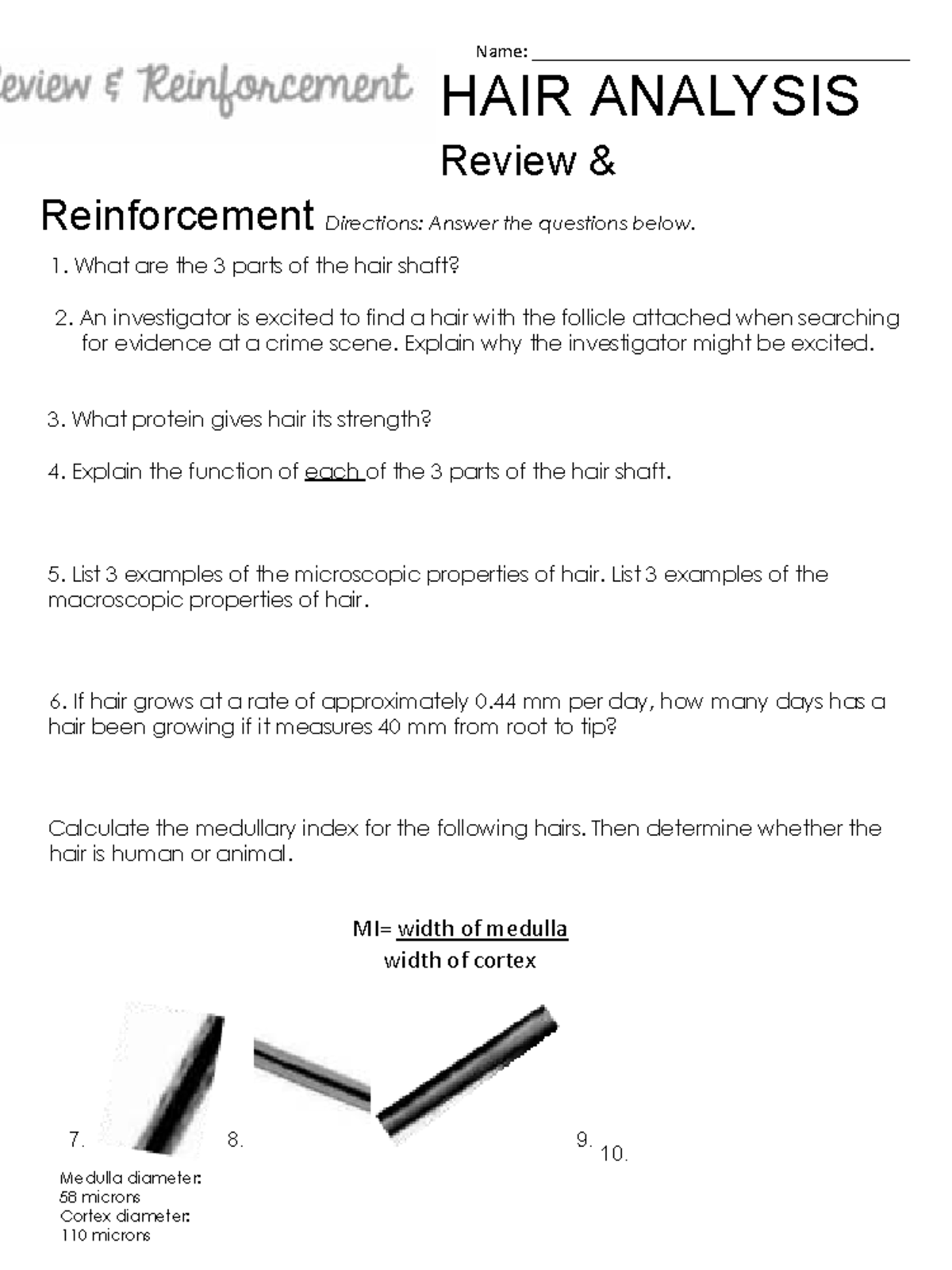 HAIR ANALYSIS Review & Reinforcement Worksheet (Forensic Science) - Studocu