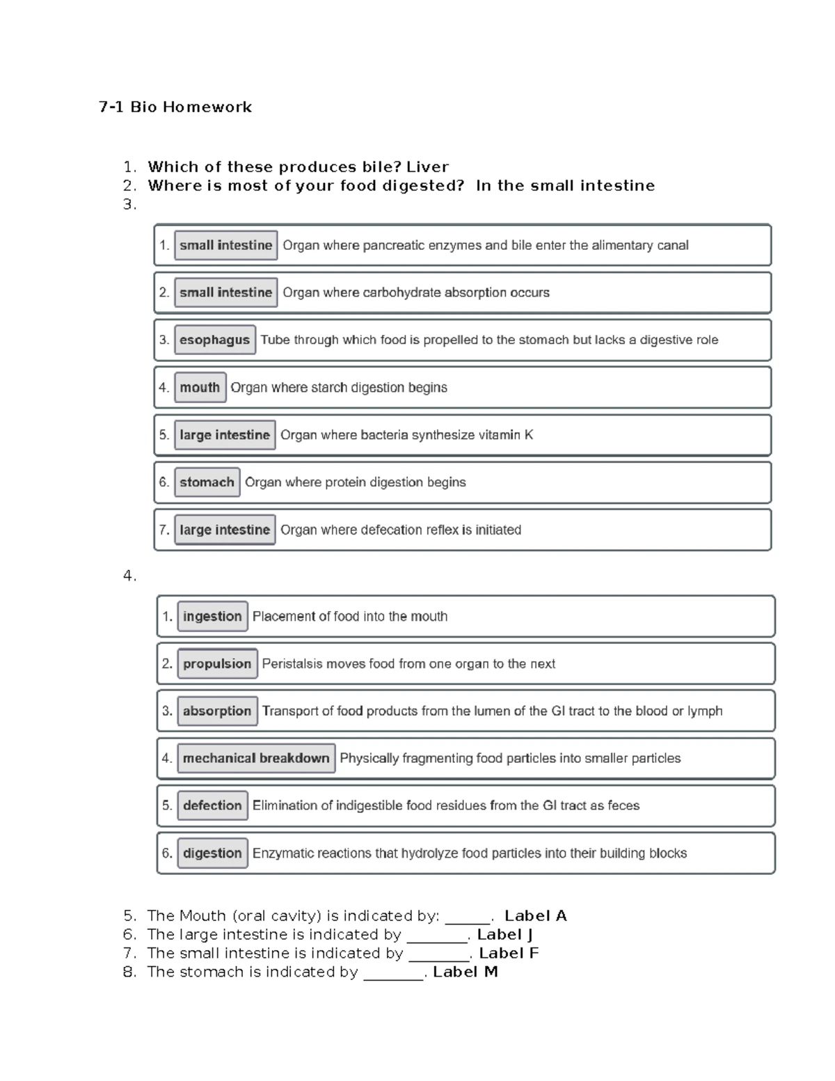 6-1 A&P Lab Module 6 Homework: Gas Exchange & Related Quiz Questions ...