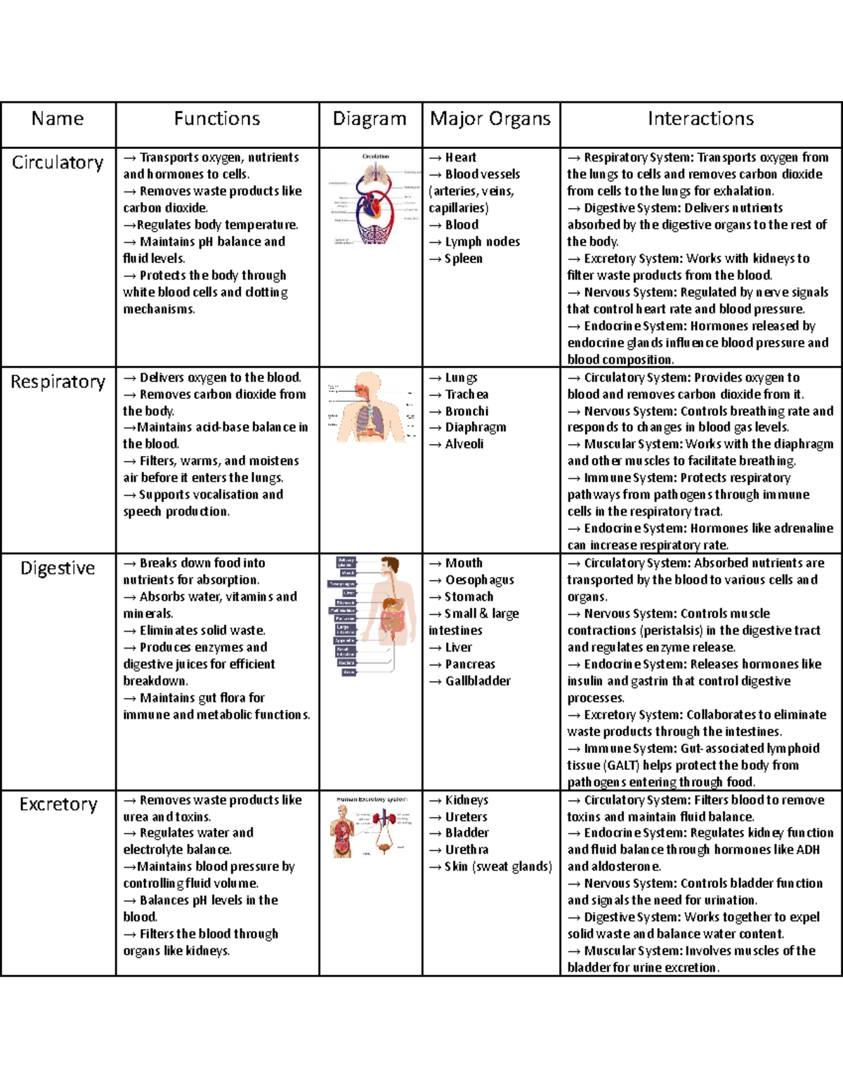 Human Body Systems Overview: Functions, Organs & Interactions - Studocu